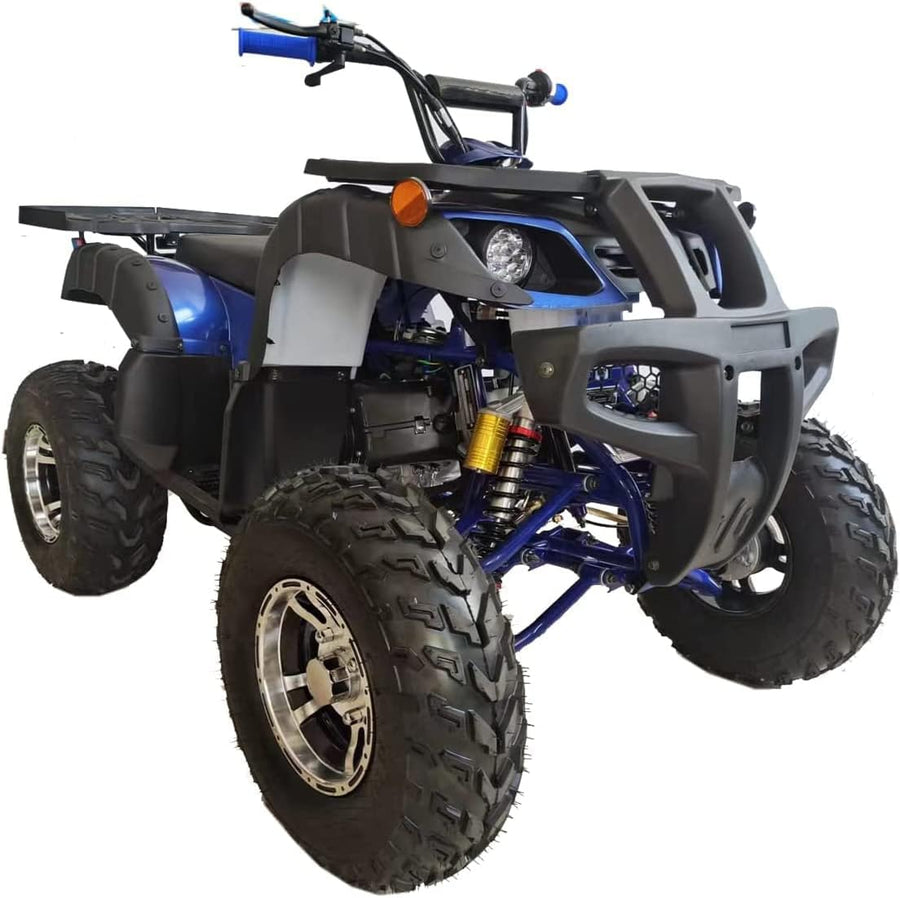 Louisiana's Powersports Hub: ATV, Dirt Bike, Scooter & Go-Kart ...